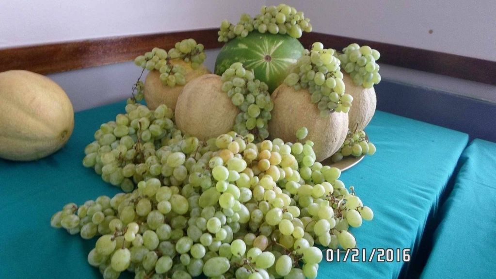 Louis Dubb Inwoners hou vrugte fees! | Blogs | Louis Dubb